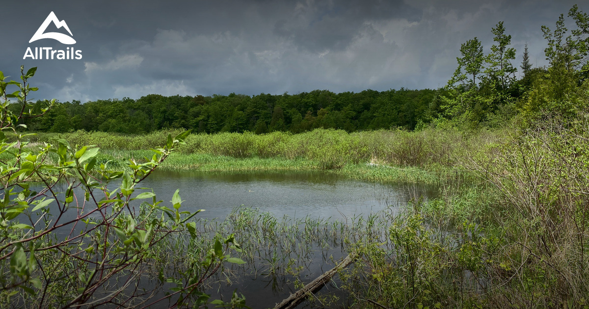 Toronto Hiking Trail | List | AllTrails