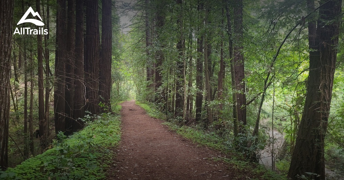 Nicene marks | List | AllTrails