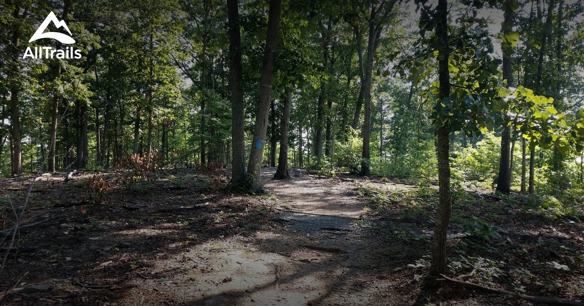 Kings/Crowder Mountains | List | AllTrails