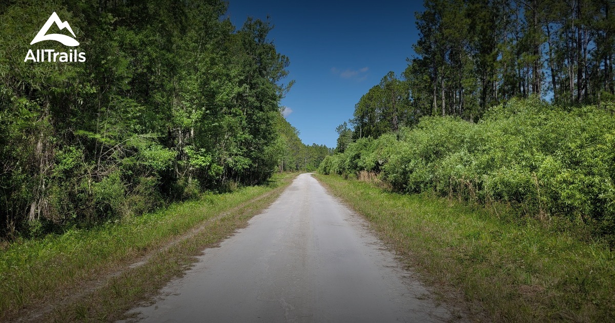 The Florida National Trail | List | AllTrails