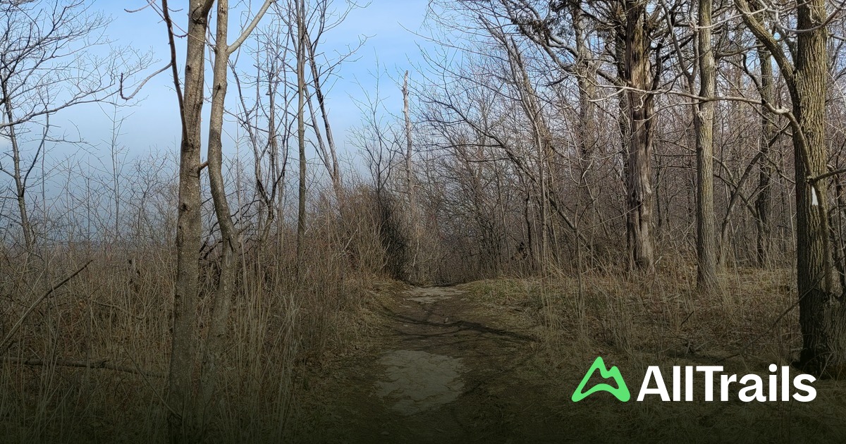 The Bruce Trail | List | AllTrails