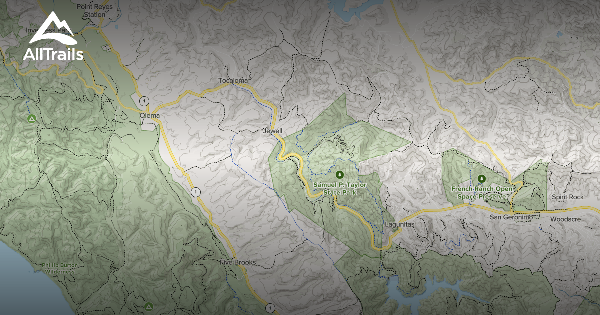 Bay Area Hikes To Take | List | AllTrails