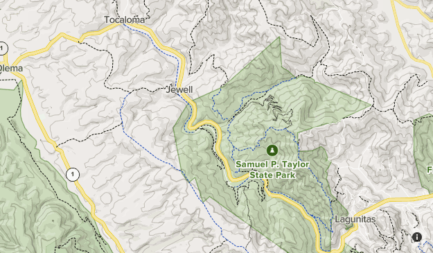 Bay Area Hikes To Take | List | AllTrails