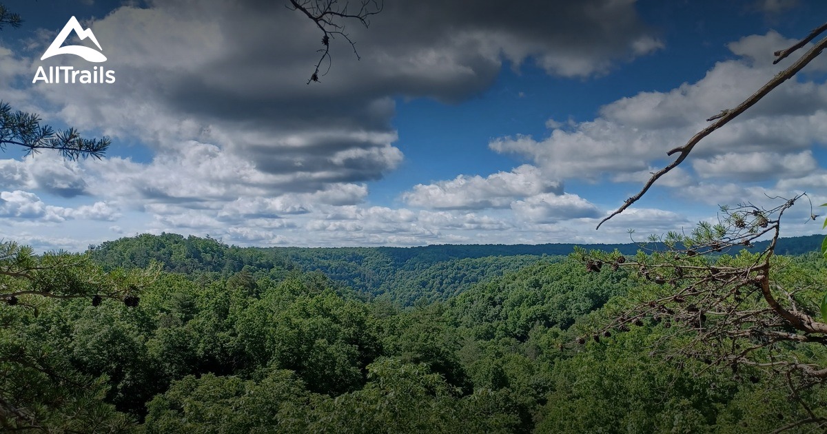 Picket CCC | List | AllTrails