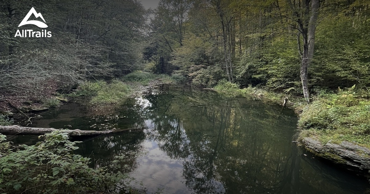 Hammersley Wild Area | List | AllTrails