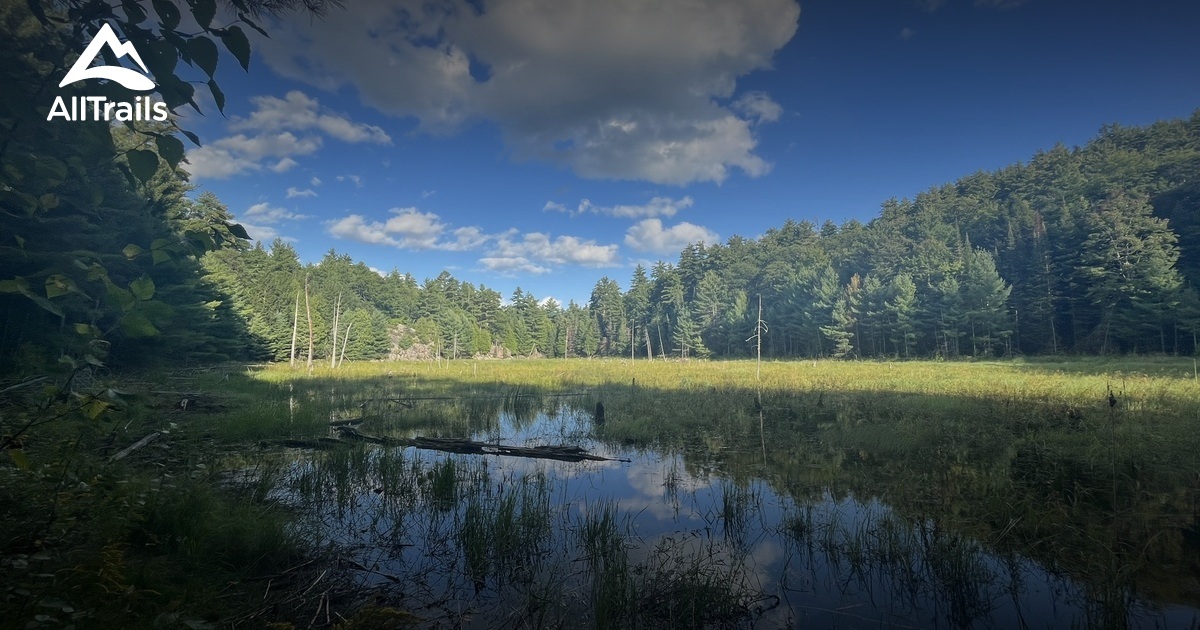 Best Calabogie hikes | List | AllTrails