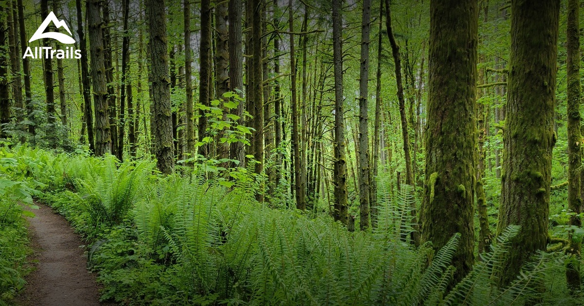 Portland trails to finish | List | AllTrails