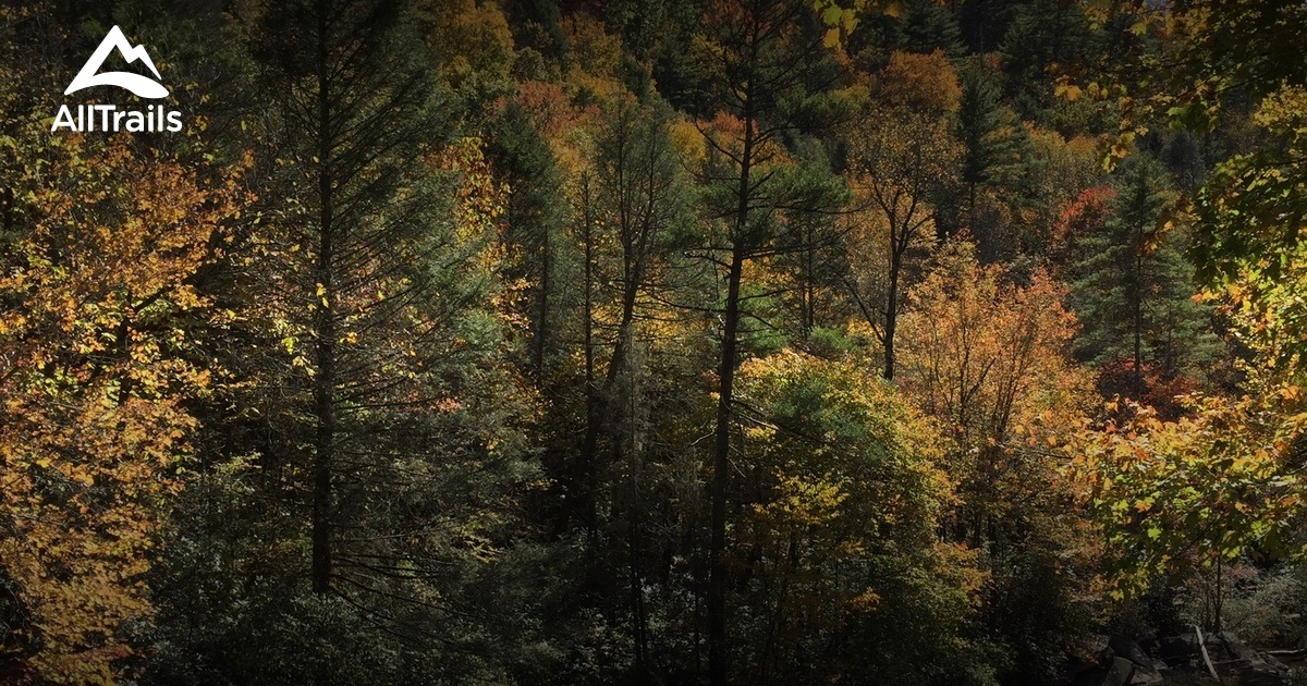 Dupont State Park Trails | List | AllTrails