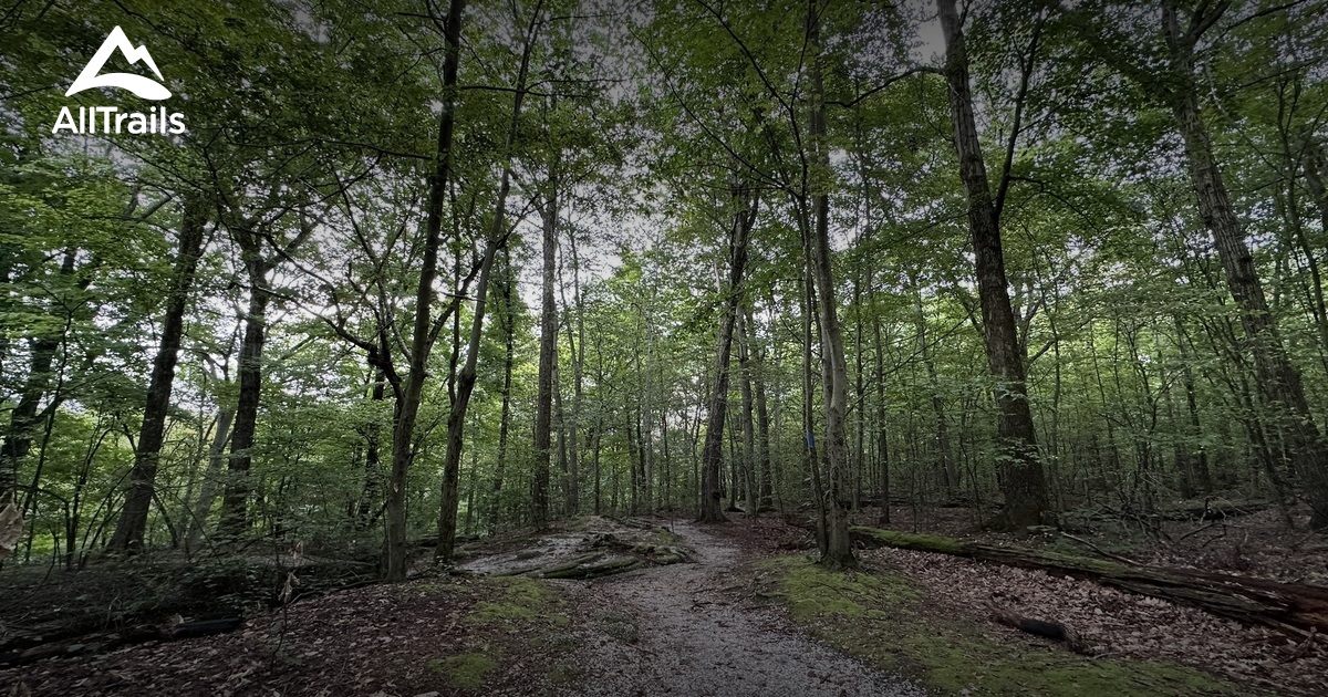 Nelson’s Ledges Kennedy State Park | List | AllTrails