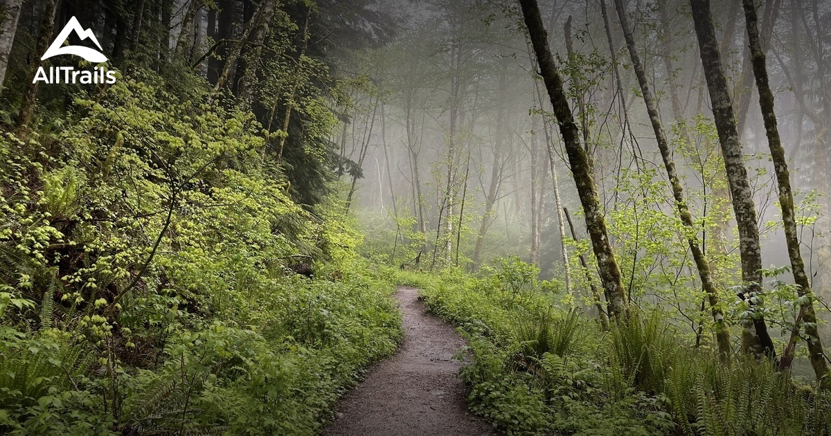 Seattle Lowland Hikes | List | AllTrails