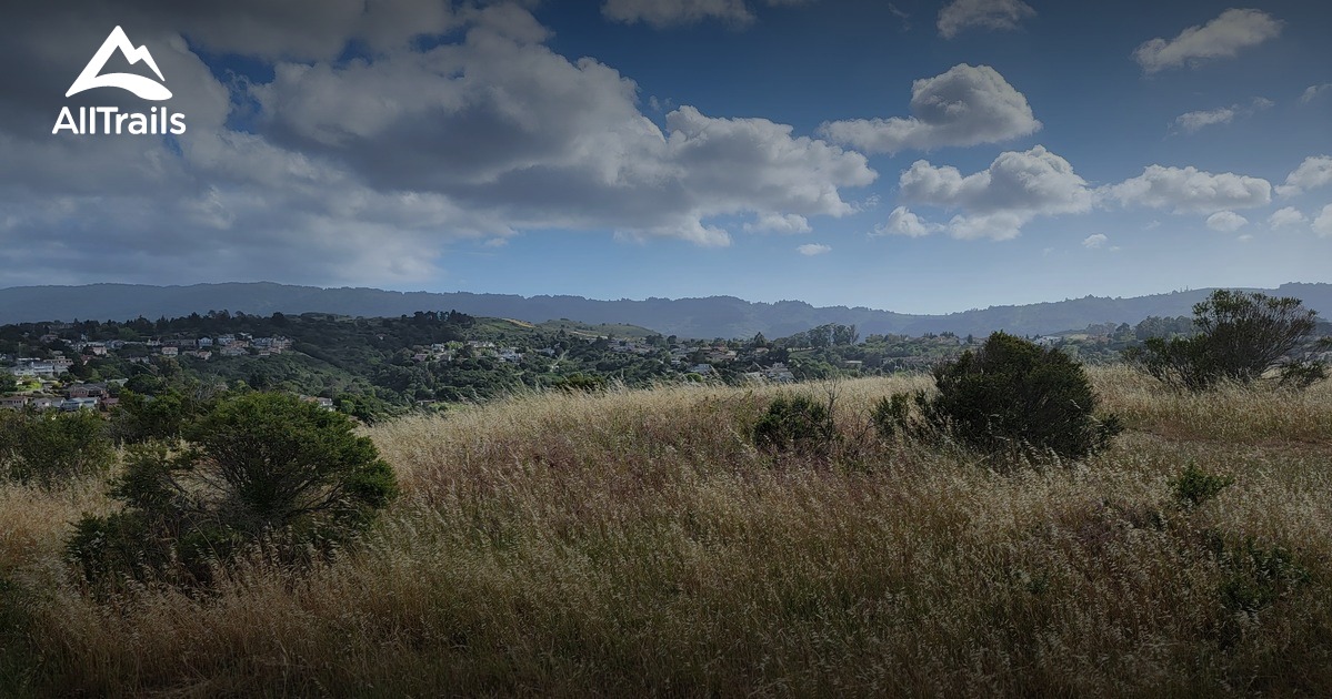 Bay hikes Austin | List | AllTrails