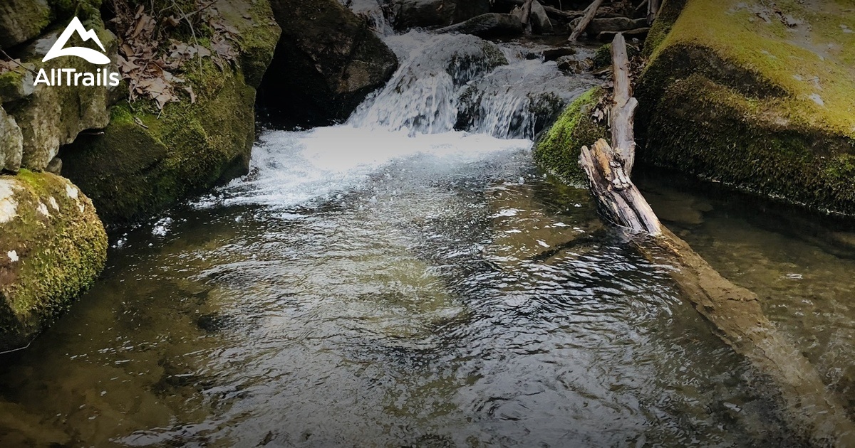Roaring Run Natural Area | List | AllTrails