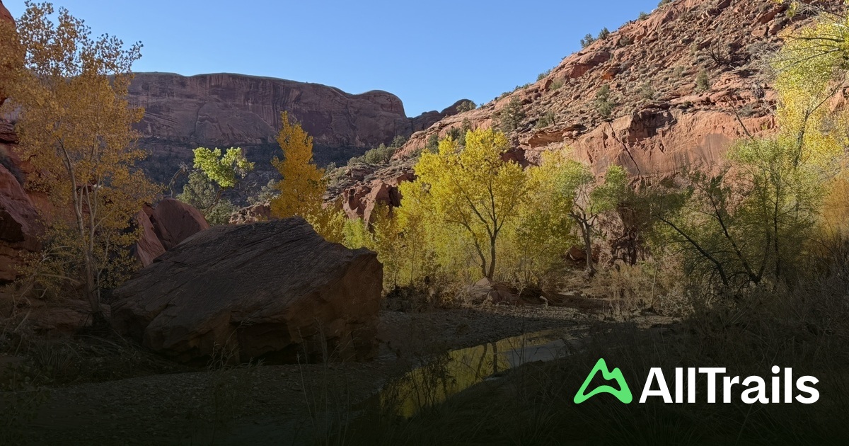 Solo desert trip | List | AllTrails
