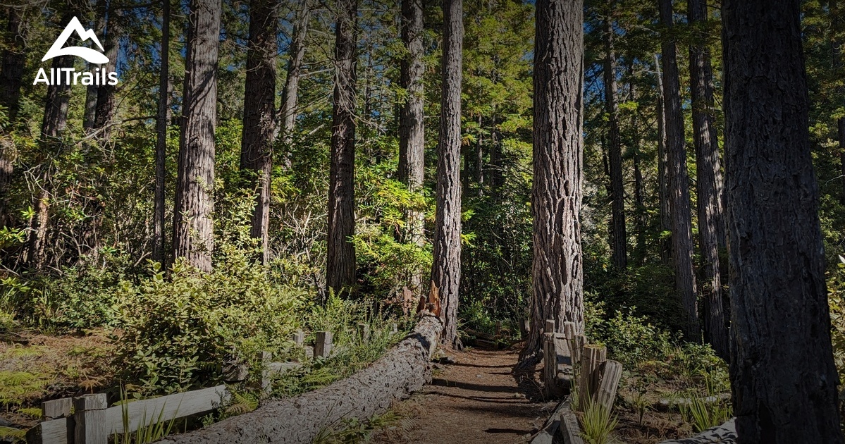 mushrooms forage | List | AllTrails