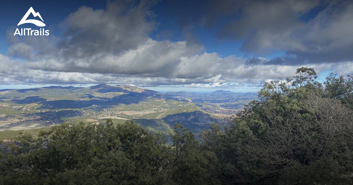 L'Eliana el Saler | List | AllTrails