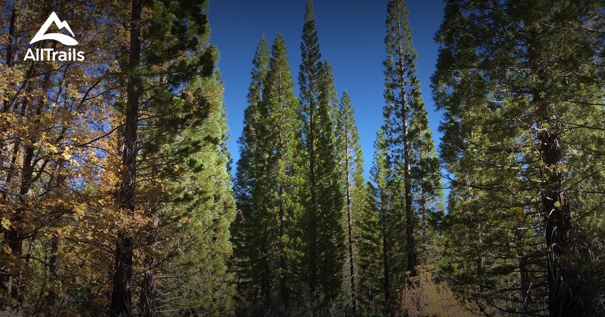 A-Frame Options | List | AllTrails