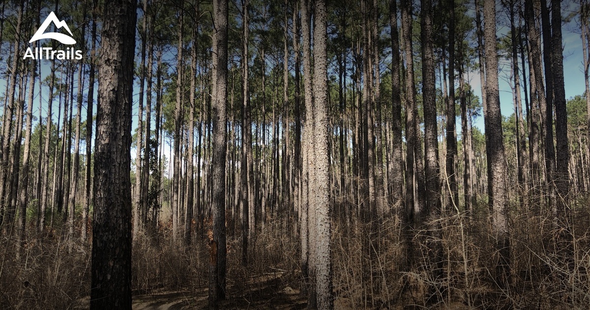 Double Lake Park | List | AllTrails