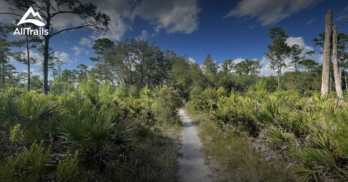 Wekiwa Springs State Park | List | AllTrails