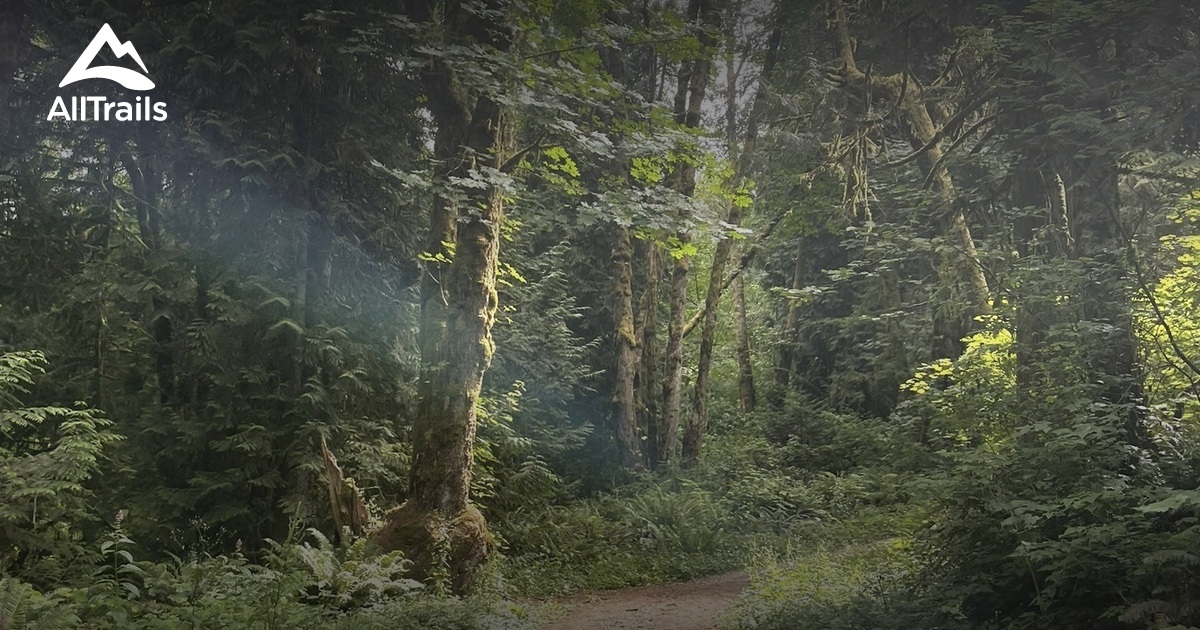 Weekend forest park hikes | List | AllTrails