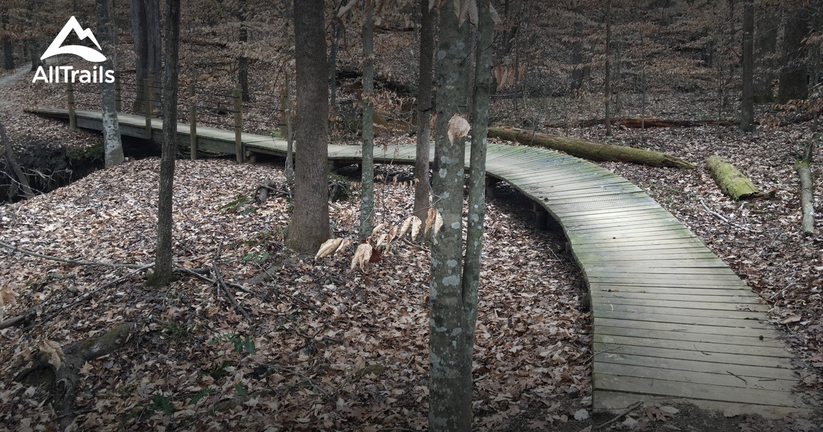 Rope Mill Trails | List | AllTrails