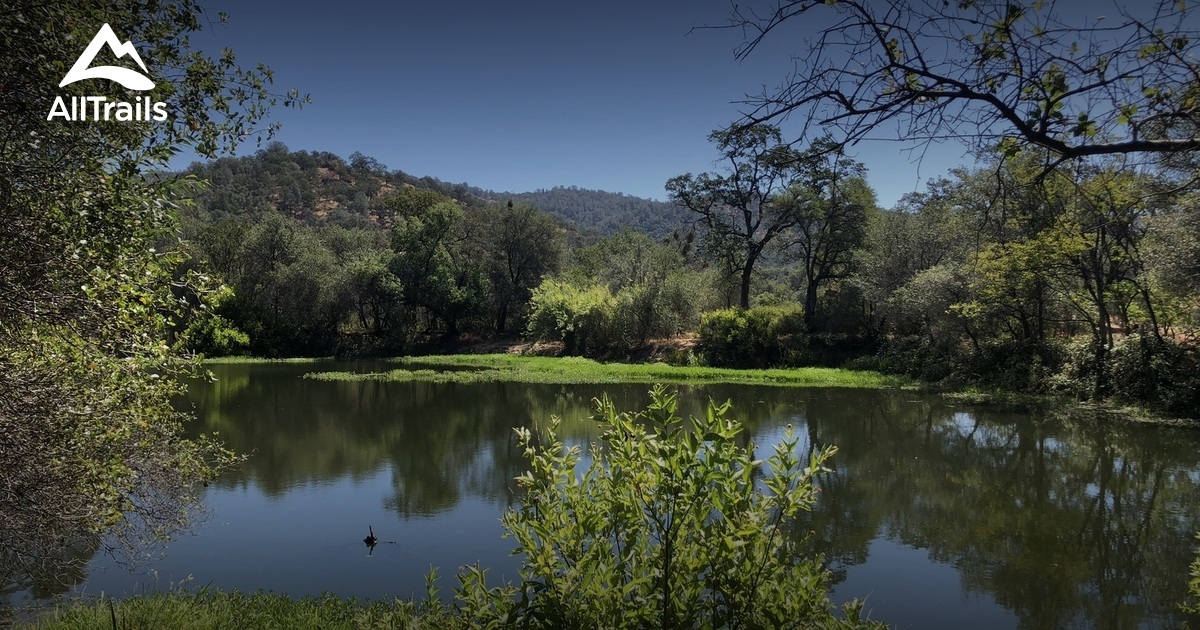 Top Sac Winter Hikes | List | AllTrails