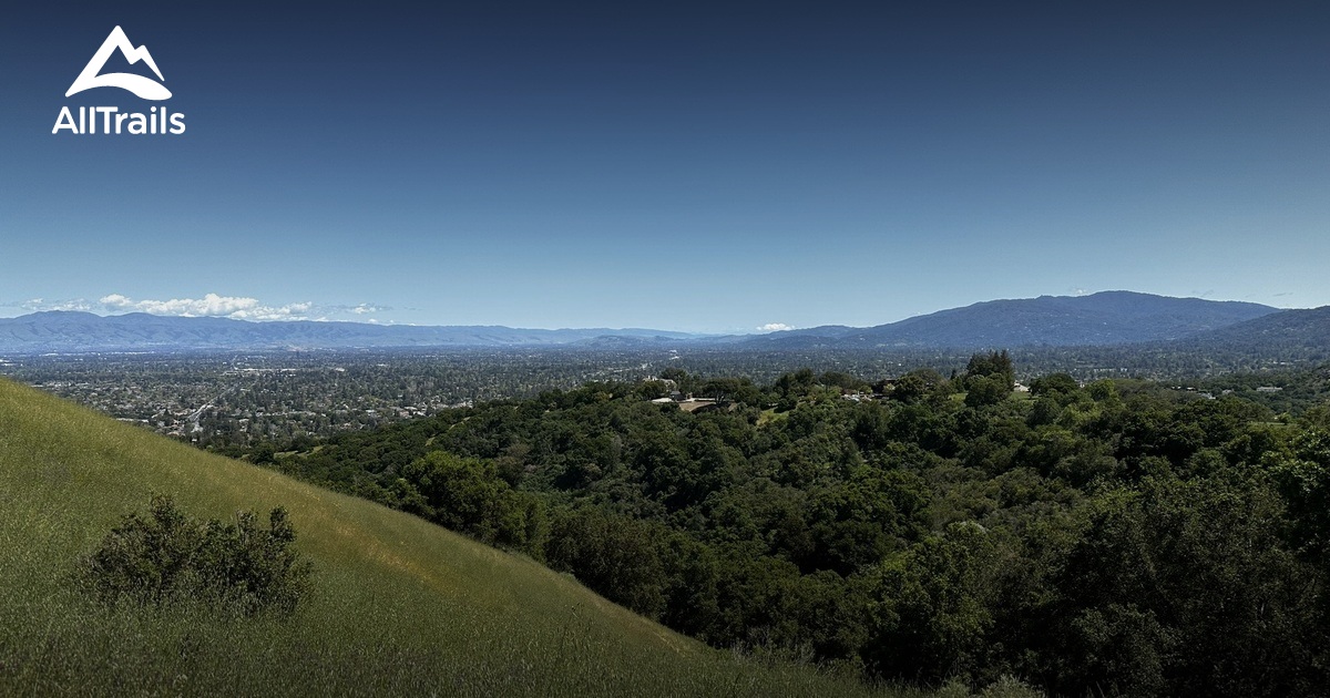 Baby Ringo | List | AllTrails