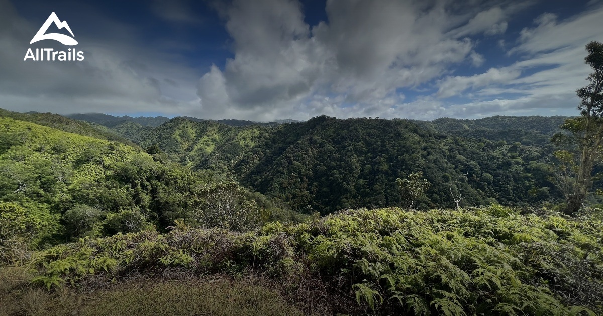 Oahu, HI - Running | List | AllTrails