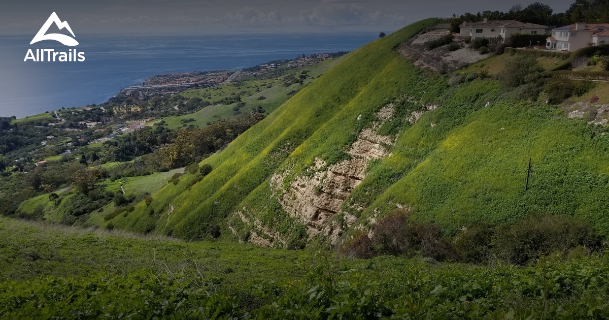 Redondo Dog | List | AllTrails