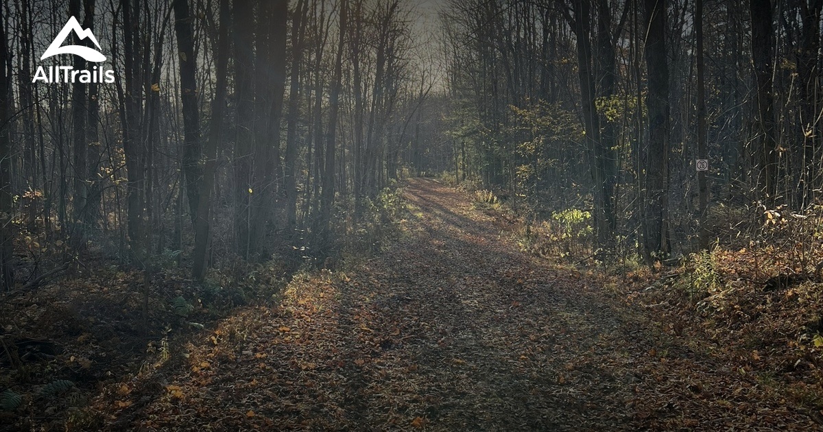 Larose Forest Trails | List | AllTrails