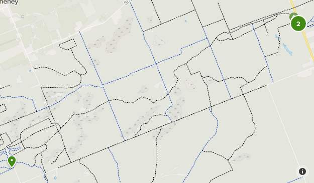 Larose Forest Trails | List | AllTrails