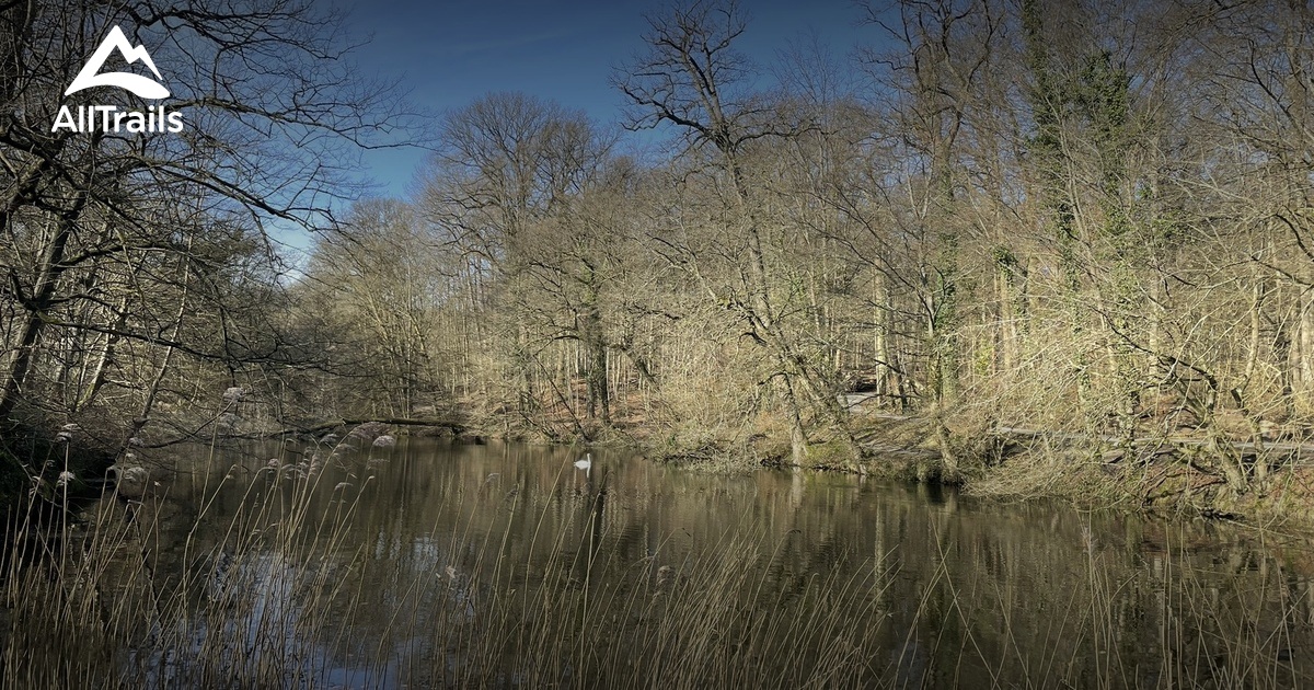 Wandeling Daan | List | AllTrails