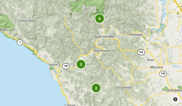 Autocamp Russian River | List | AllTrails