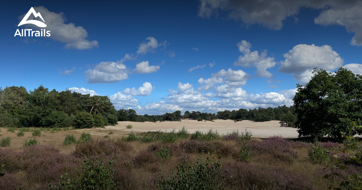 Soesterduinen | List | AllTrails