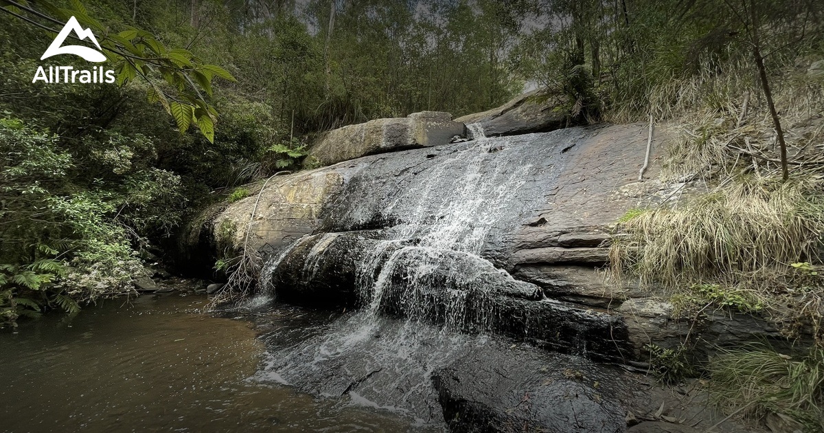 Planned Easy Runs | List | AllTrails