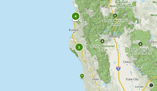 Coast/redwoods | List | AllTrails
