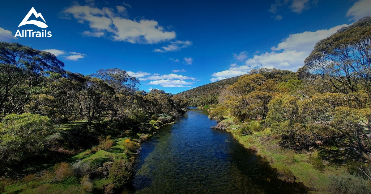 Lake Crackenback | List | AllTrails