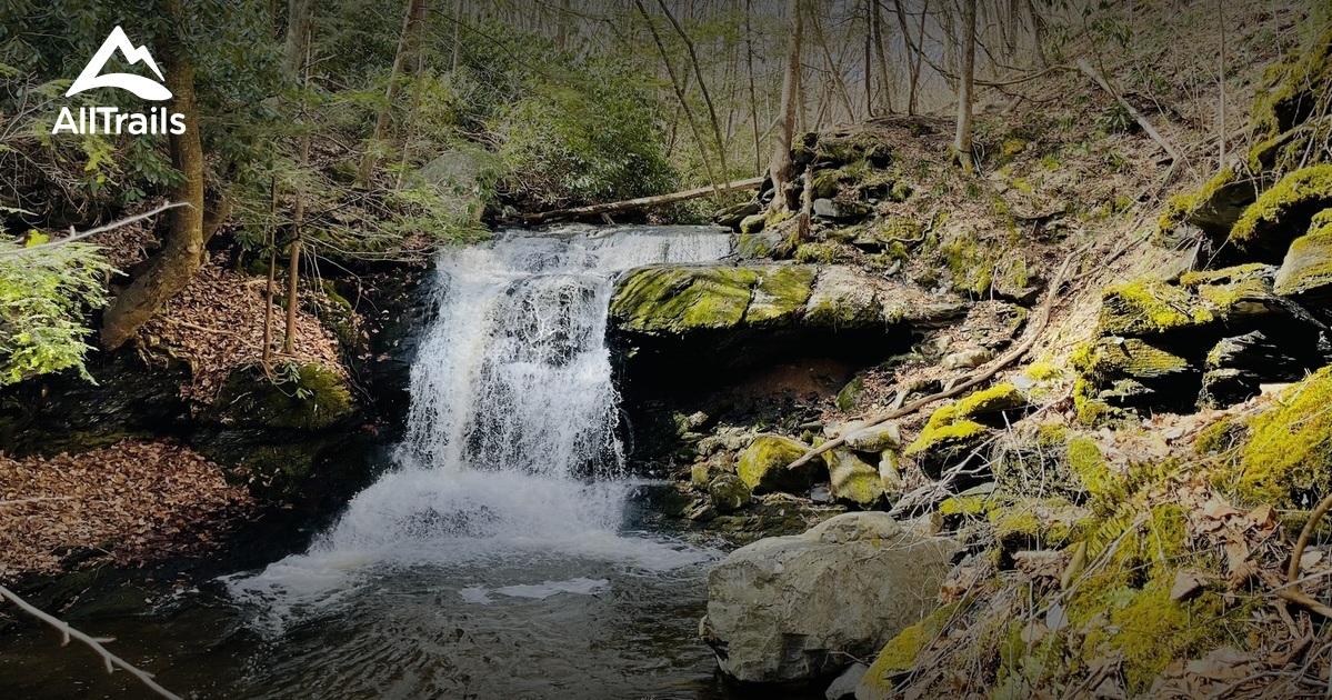 2021 Waterfall adventures | List | AllTrails