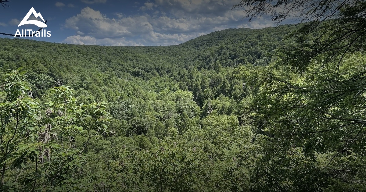 Berkeley springs best hike | List | AllTrails