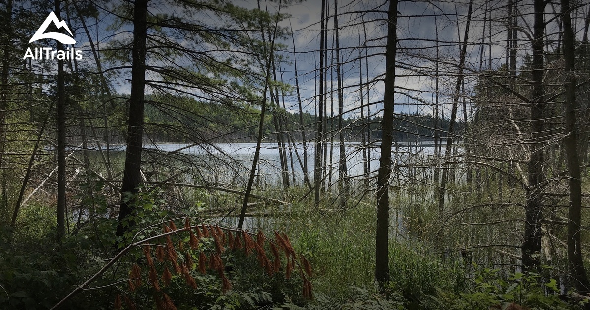 Local Off Road 4x4 Trails | List | AllTrails