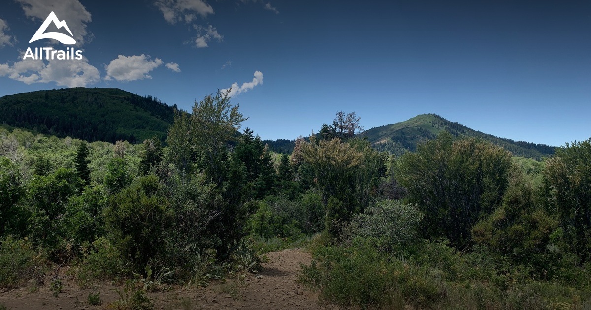 Pinebrook trail system | List | AllTrails