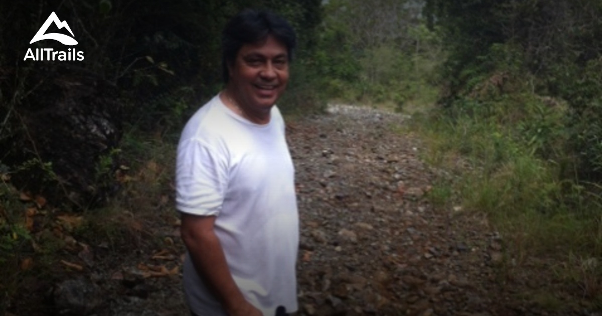 bosque maricao | List | AllTrails