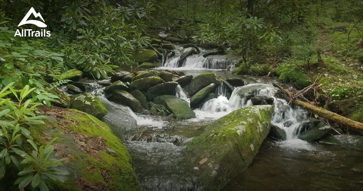 Cherohala Skyway Area Trails | List | AllTrails