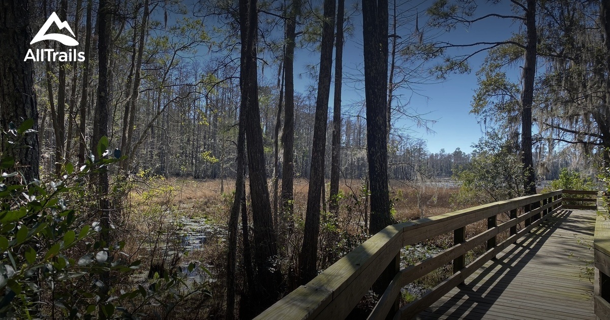 Goethe State Forest | List | AllTrails