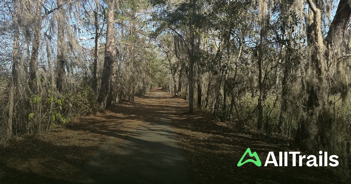 Shellman Bluff | List | AllTrails
