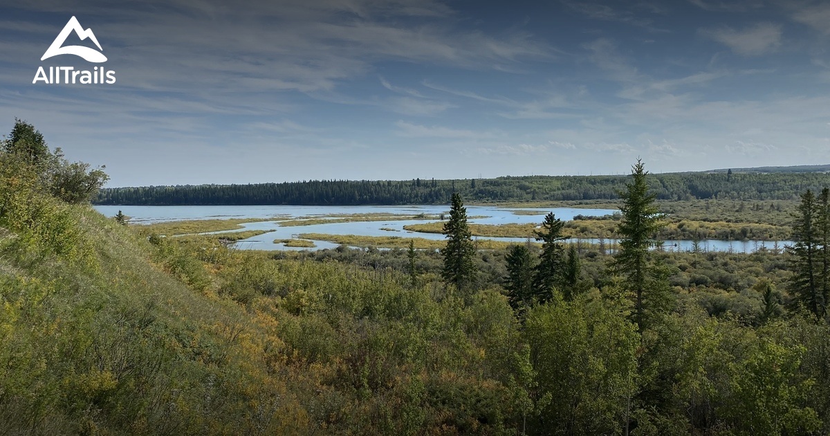 Calgary Urban walks/hikes | List | AllTrails