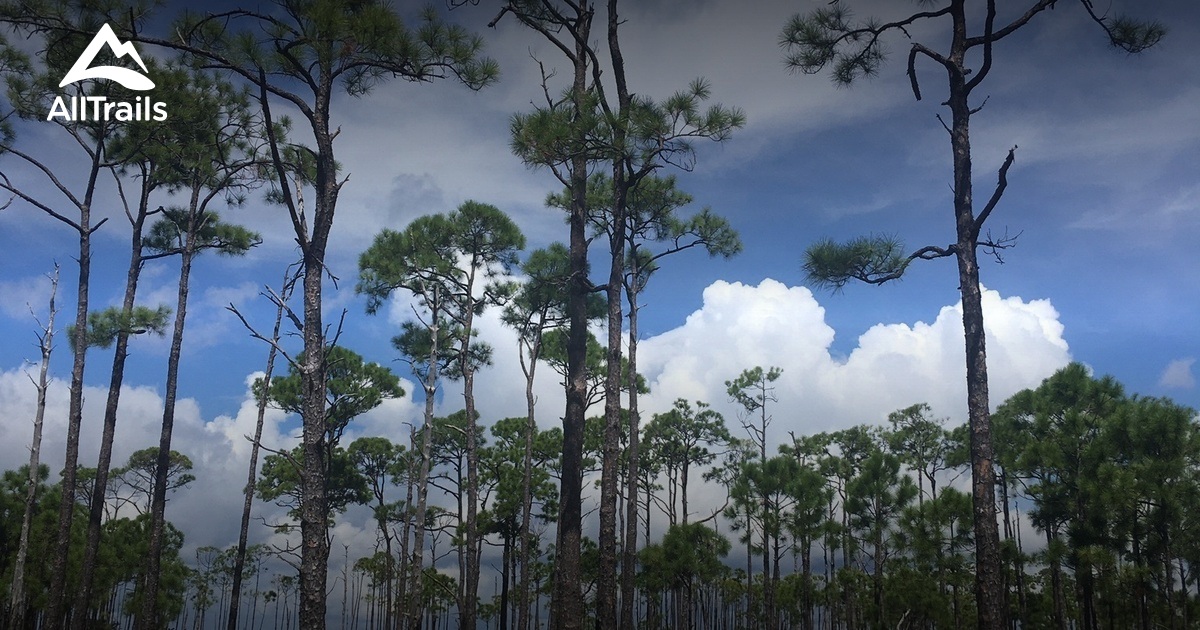 Alligator point trails | List | AllTrails