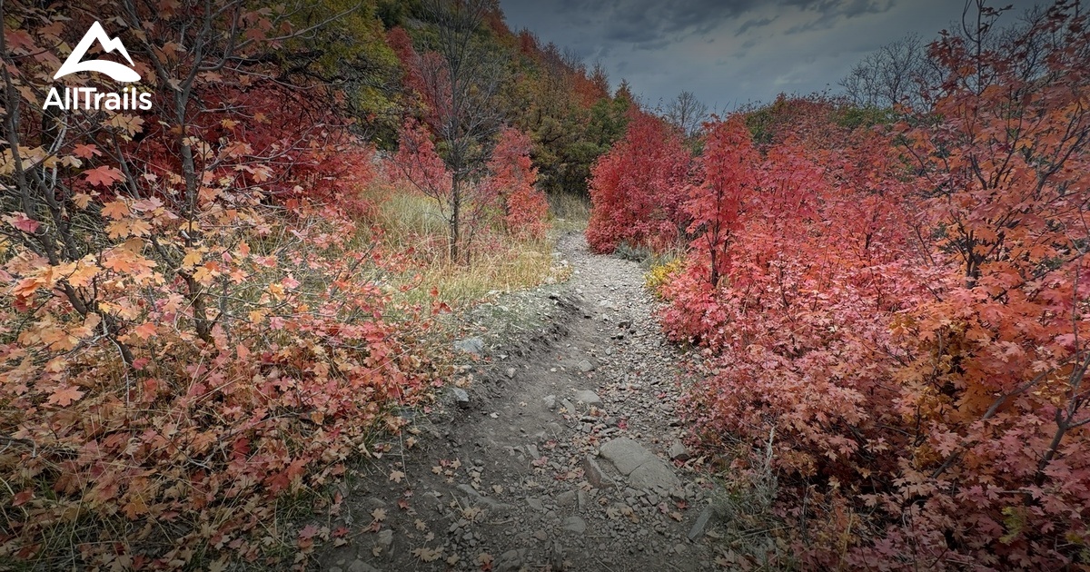 Local Tooele County hikes | List | AllTrails