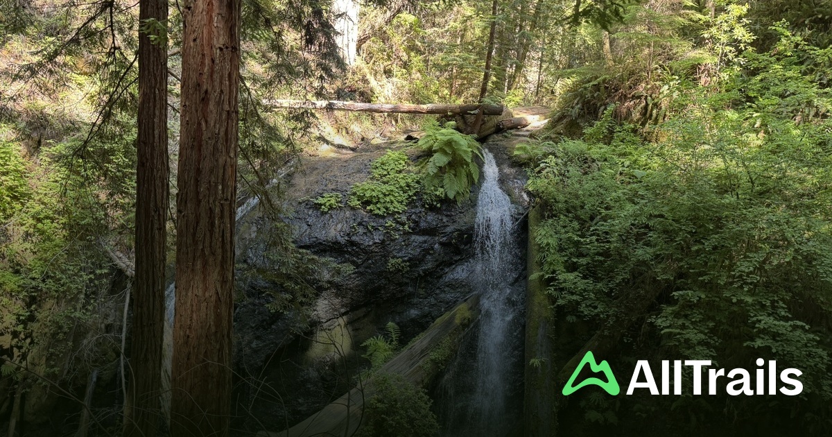 Jackson state forest | List | AllTrails