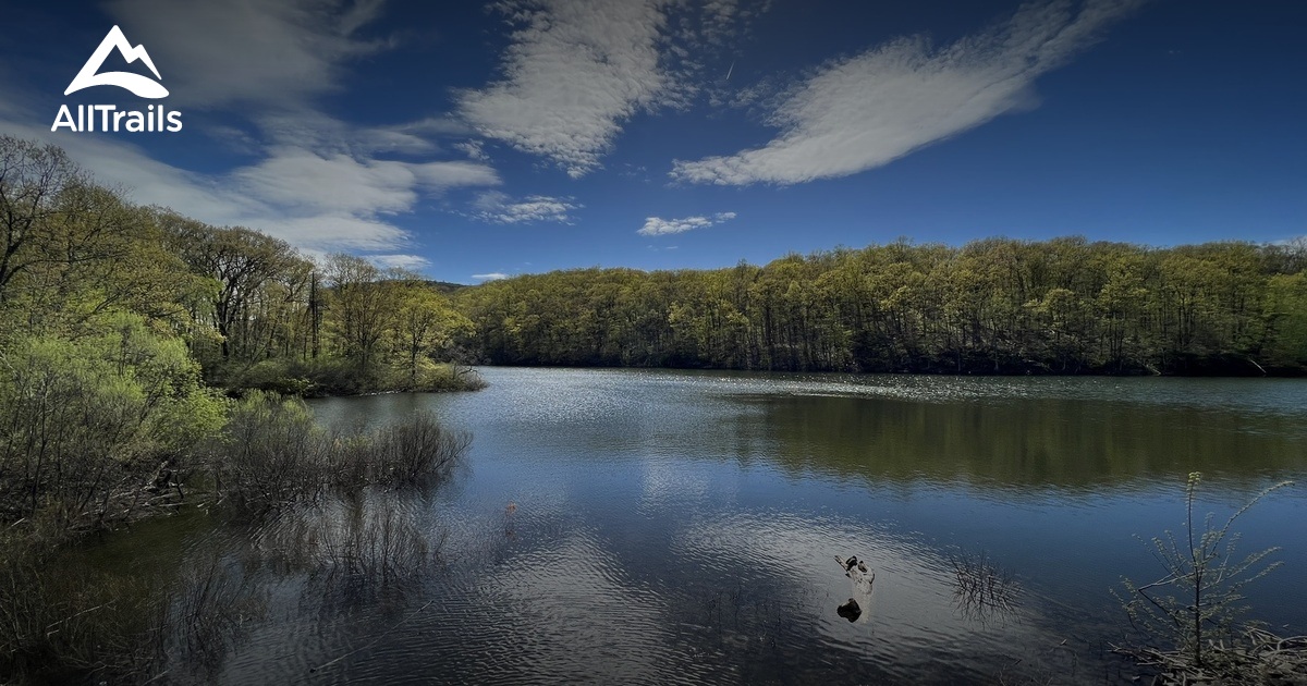 Hubbard Park, Meriden | List | AllTrails