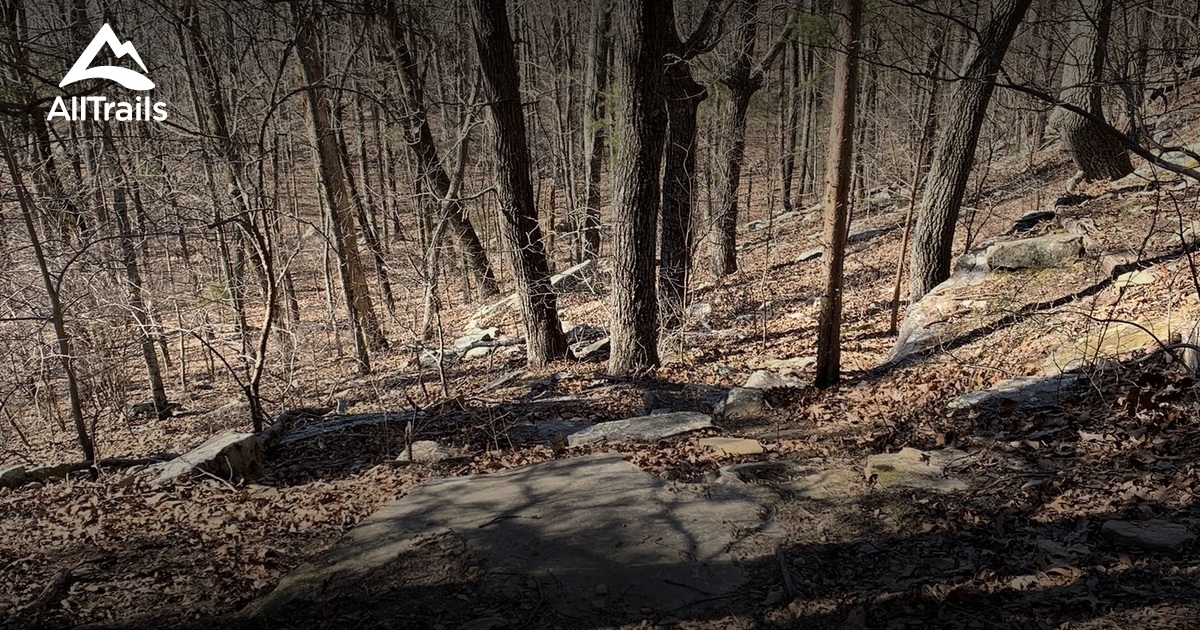 the 12 months of hiking | List | AllTrails